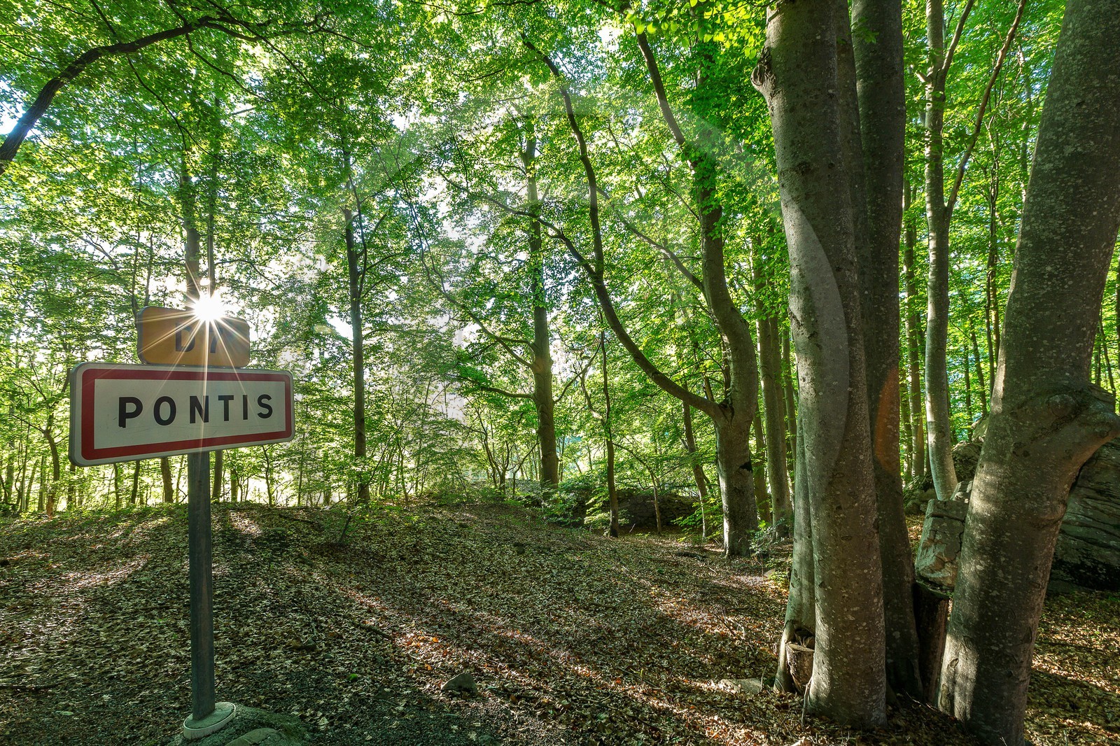 Pontis | Photothèque Photos & Reportages - Bertrand Bodin Photographe