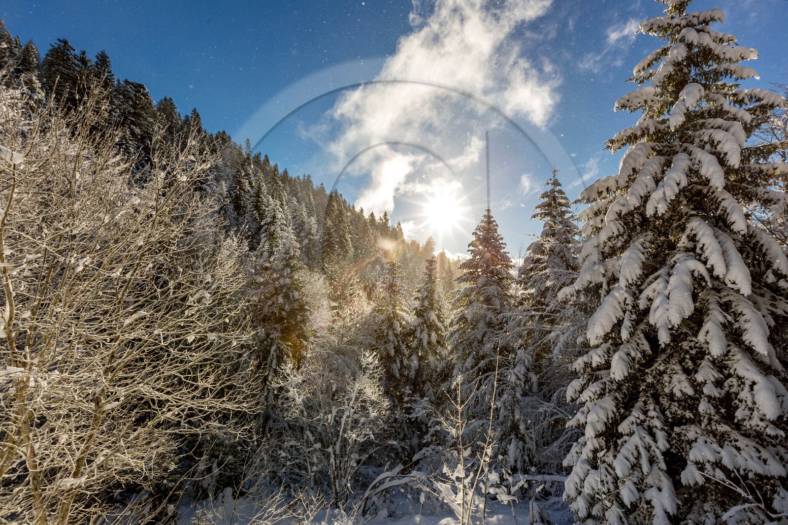 Col du Coq | Photothèque Photos & Reportages - Bertrand Bodin Photographe